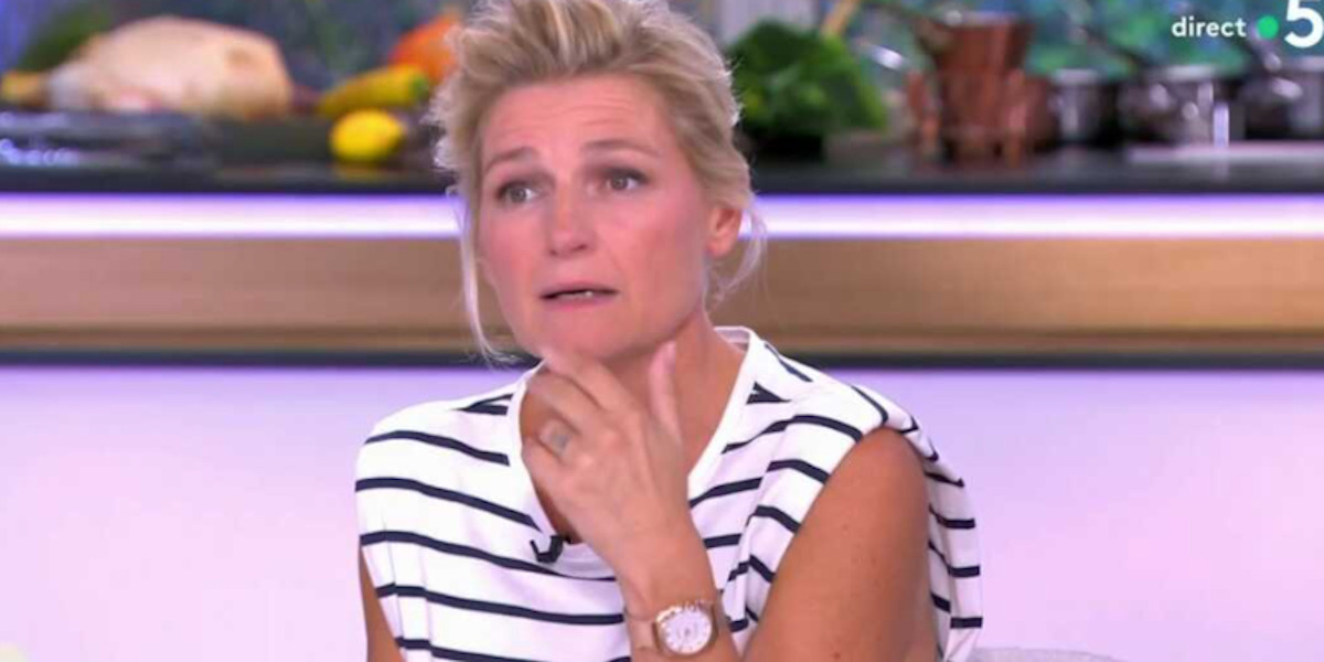 Anne-Élisabeth Lemoine bousculée par Jordan Bardella, échange tendu ...