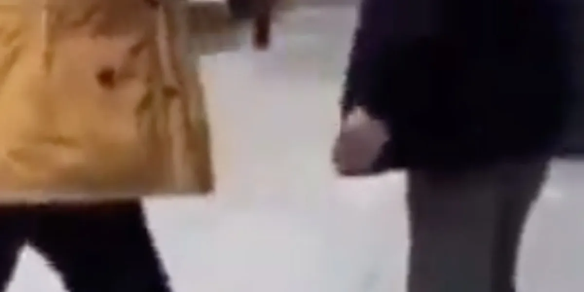 Guillaume Canet, « rôle » caché de Marion Cotillard dans Astérix, leur ...