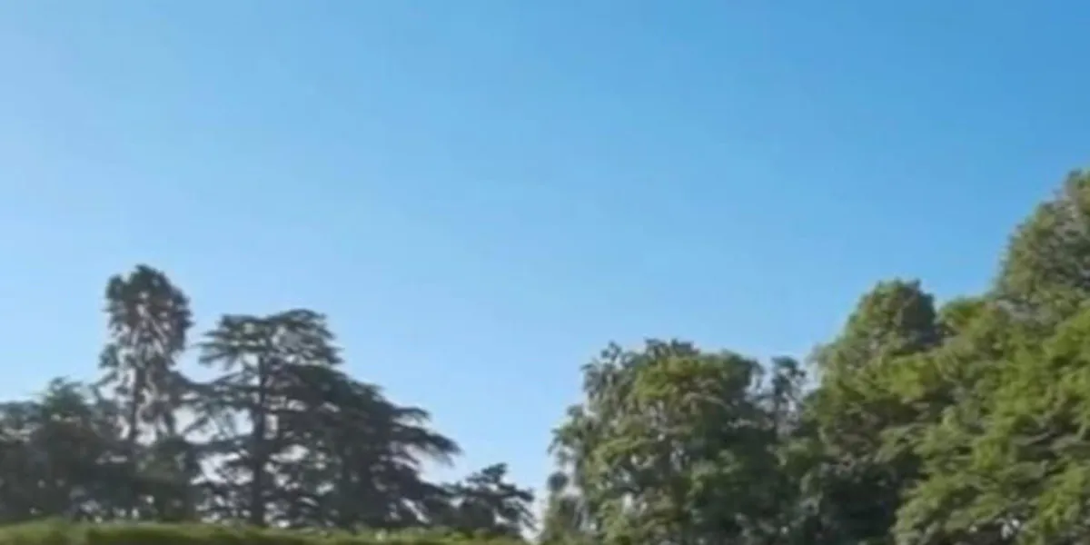 Jenifer ou Alizée en singe dans Mask Singer, le flou demeure