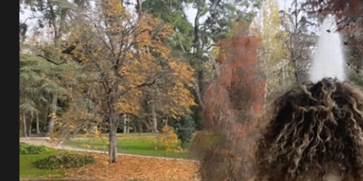 Karim Benzema, somme folle à verser à Chloé de Launay, parallèle avec ...