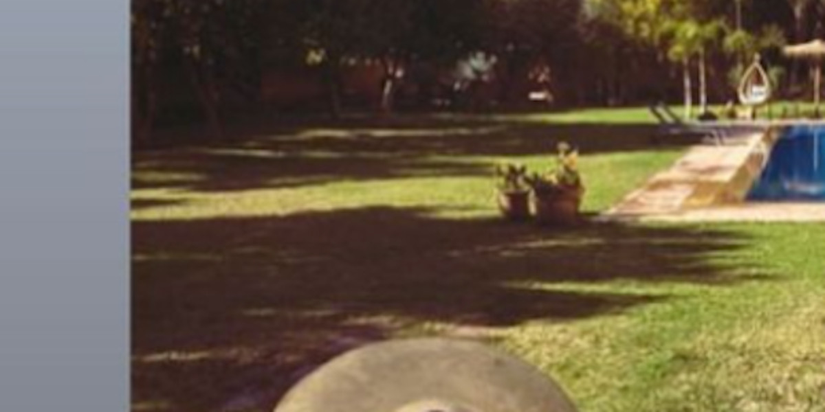 David Hallyday agace Alexandra Pastor, il dévoile leur immense ...