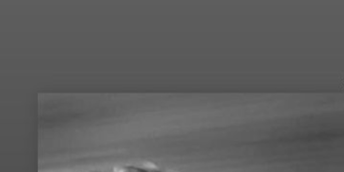 Joy Hallyday « abandonnée » par Laura Smet, ce message à un être cher ...