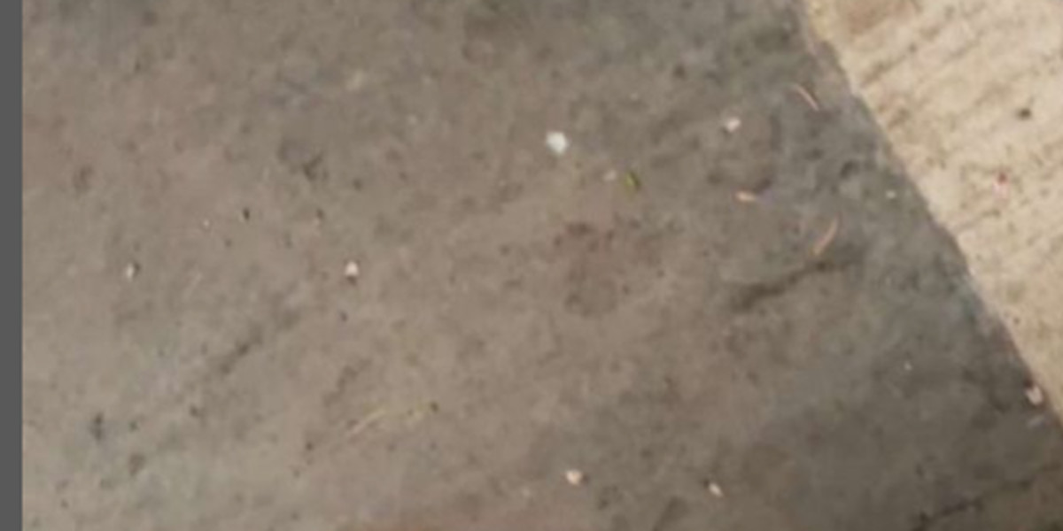 Karim Benzema et Chloé de Launay, pacte secret autour de leurs enfants ...