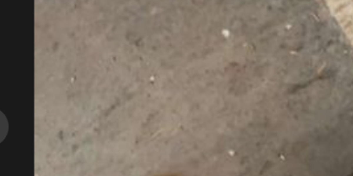 Karim Benzema, geste pour apaiser Chloé de Launay à la Réunion, une ...